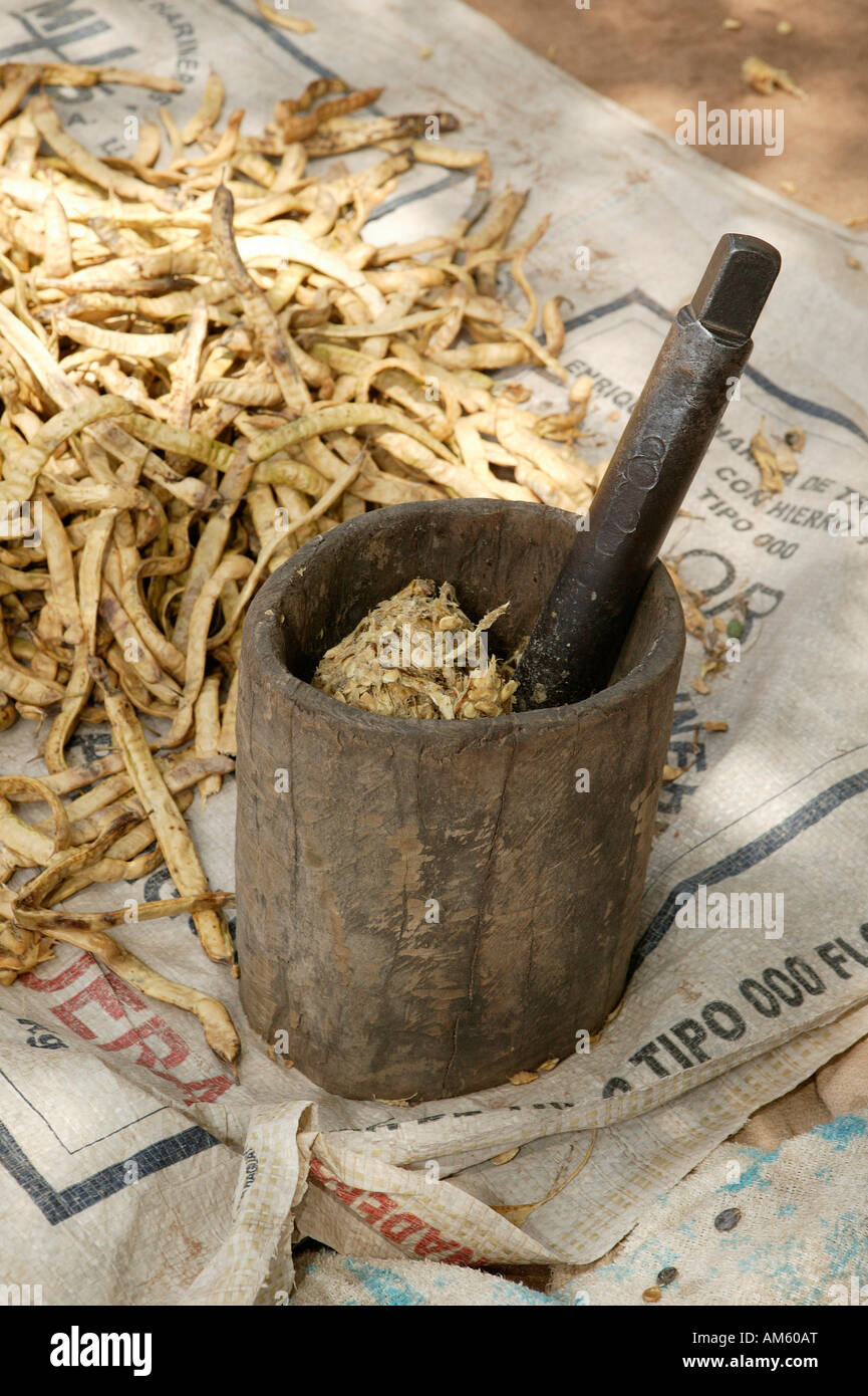 Mortar with smashed beans, Nivaclé native Americans, Jothoisha, Chaco ...