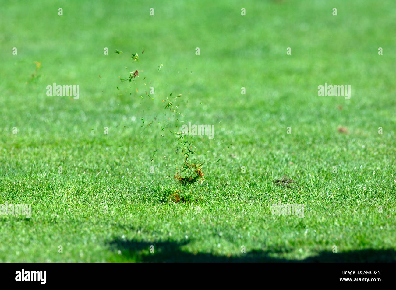 Golfball fliegt hi-res stock photography and images - Alamy