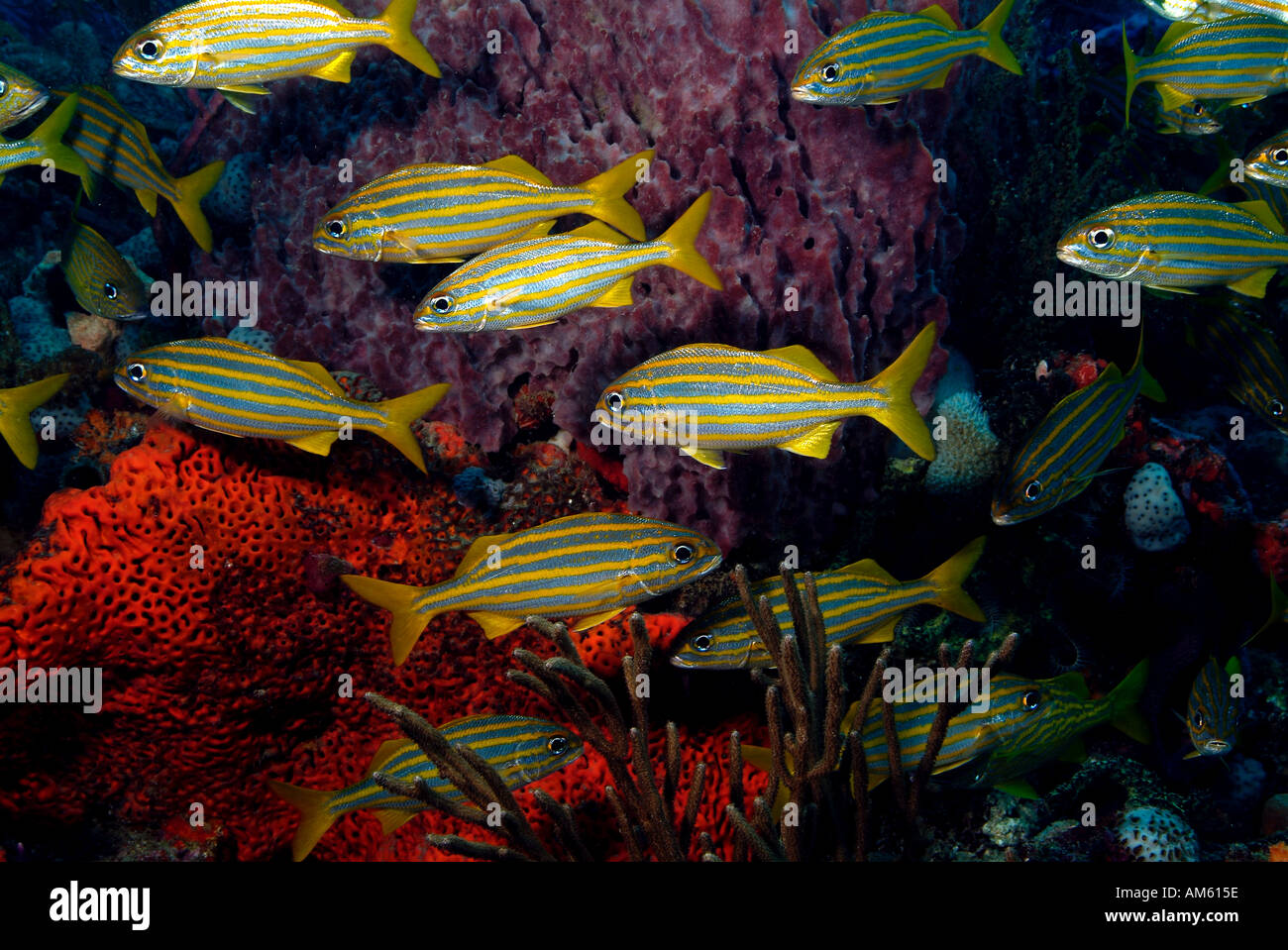 Smallmouth beach hi-res stock photography and images - Alamy