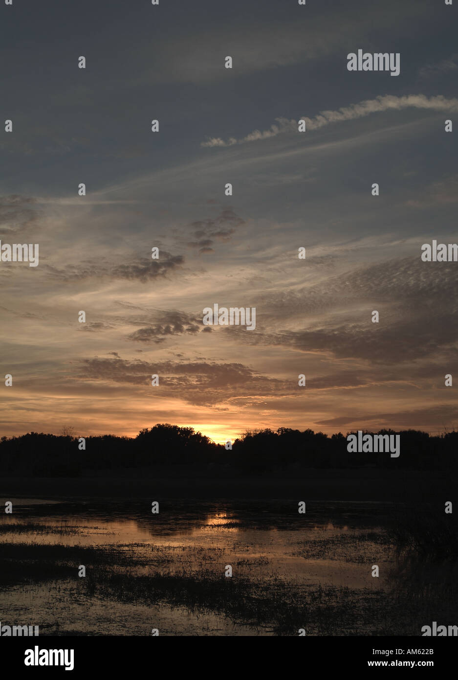 Crystal river florida sunset hi-res stock photography and images - Alamy