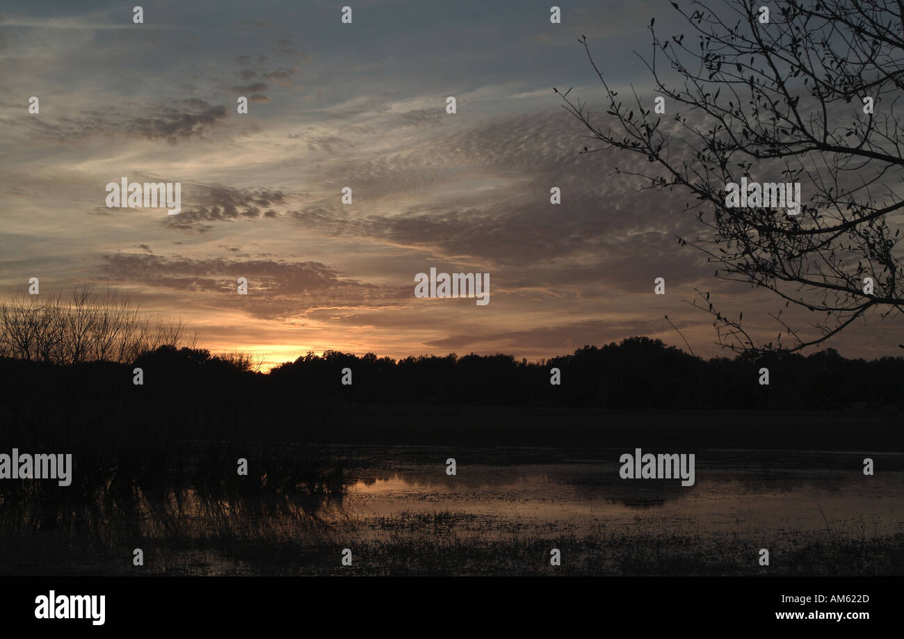 Florida crystal river salt river hi-res stock photography and images ...