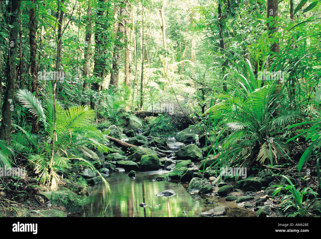 Mossman Gorge, Queensland Stock Photo - Alamy