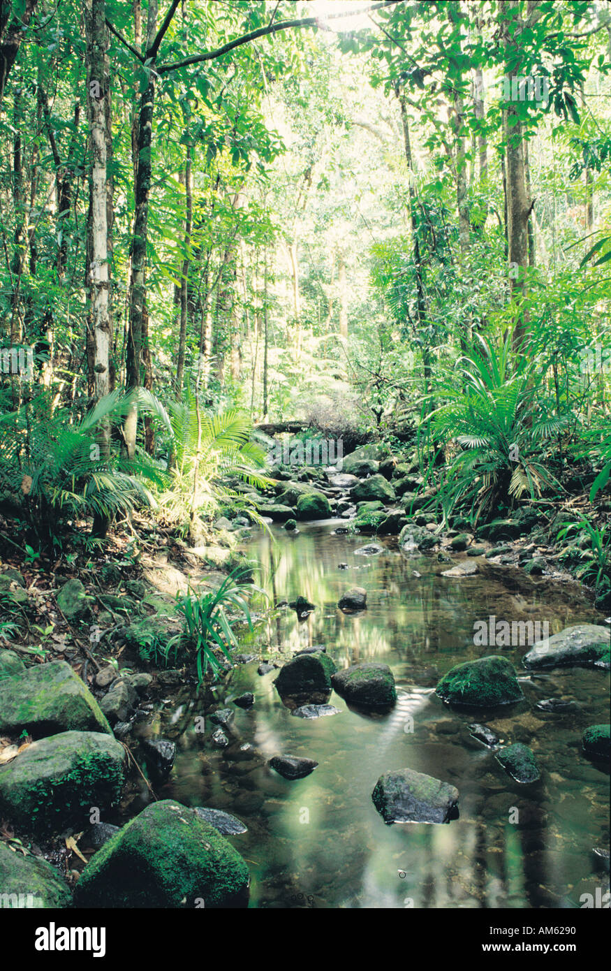 Mossman Gorge, Queensland Stock Photo - Alamy