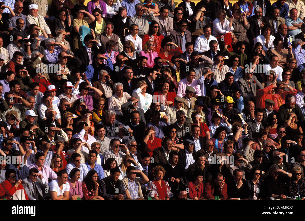 Audience watching a bullfight hi-res stock photography and images - Alamy