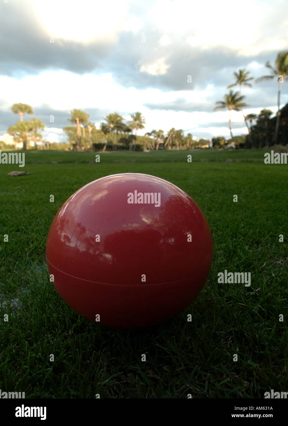 Red plastic ball on a golf field in West Palm Beach Stock Photo - Alamy