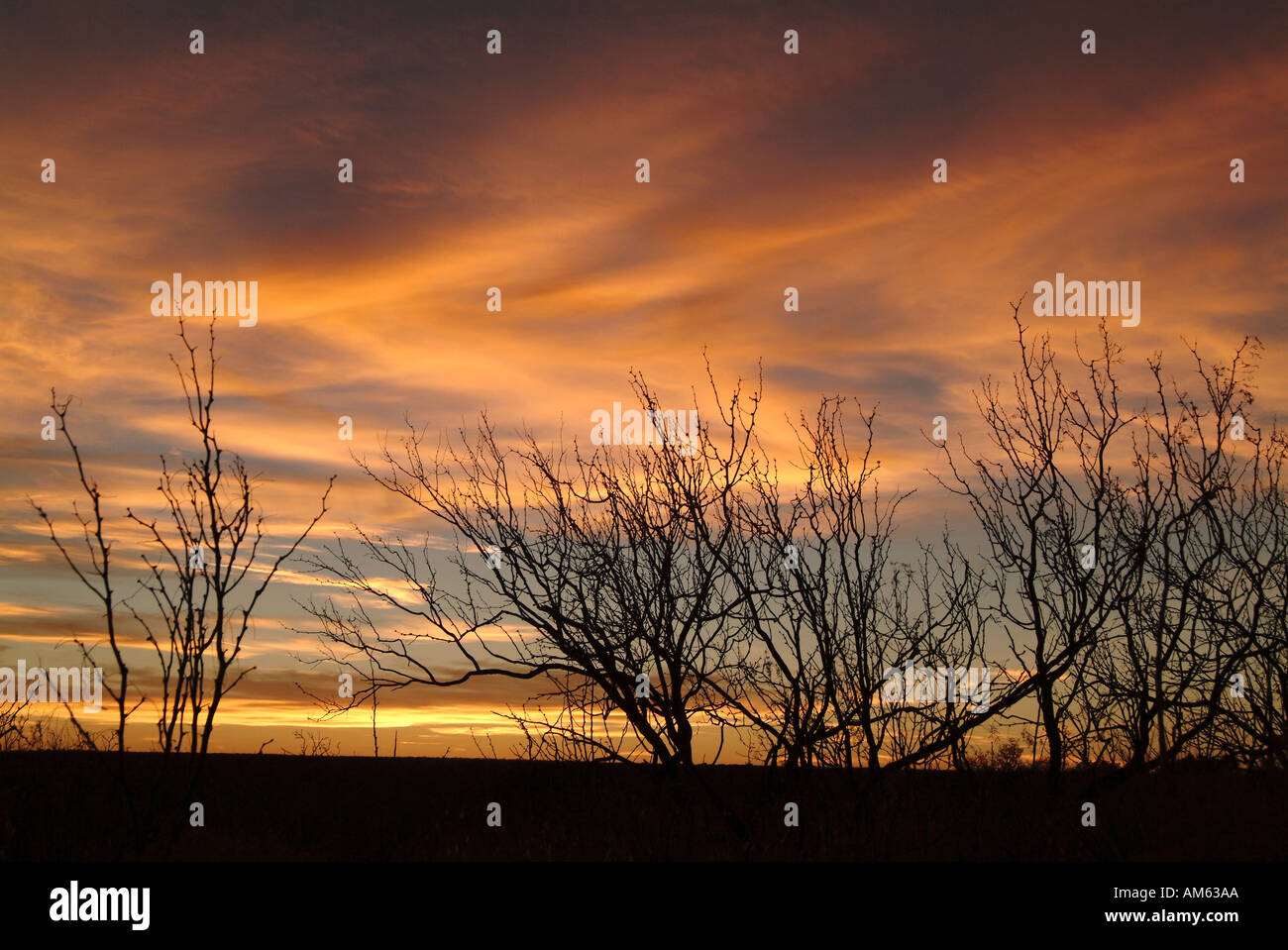 Texas panhandle sunset hi-res stock photography and images - Alamy