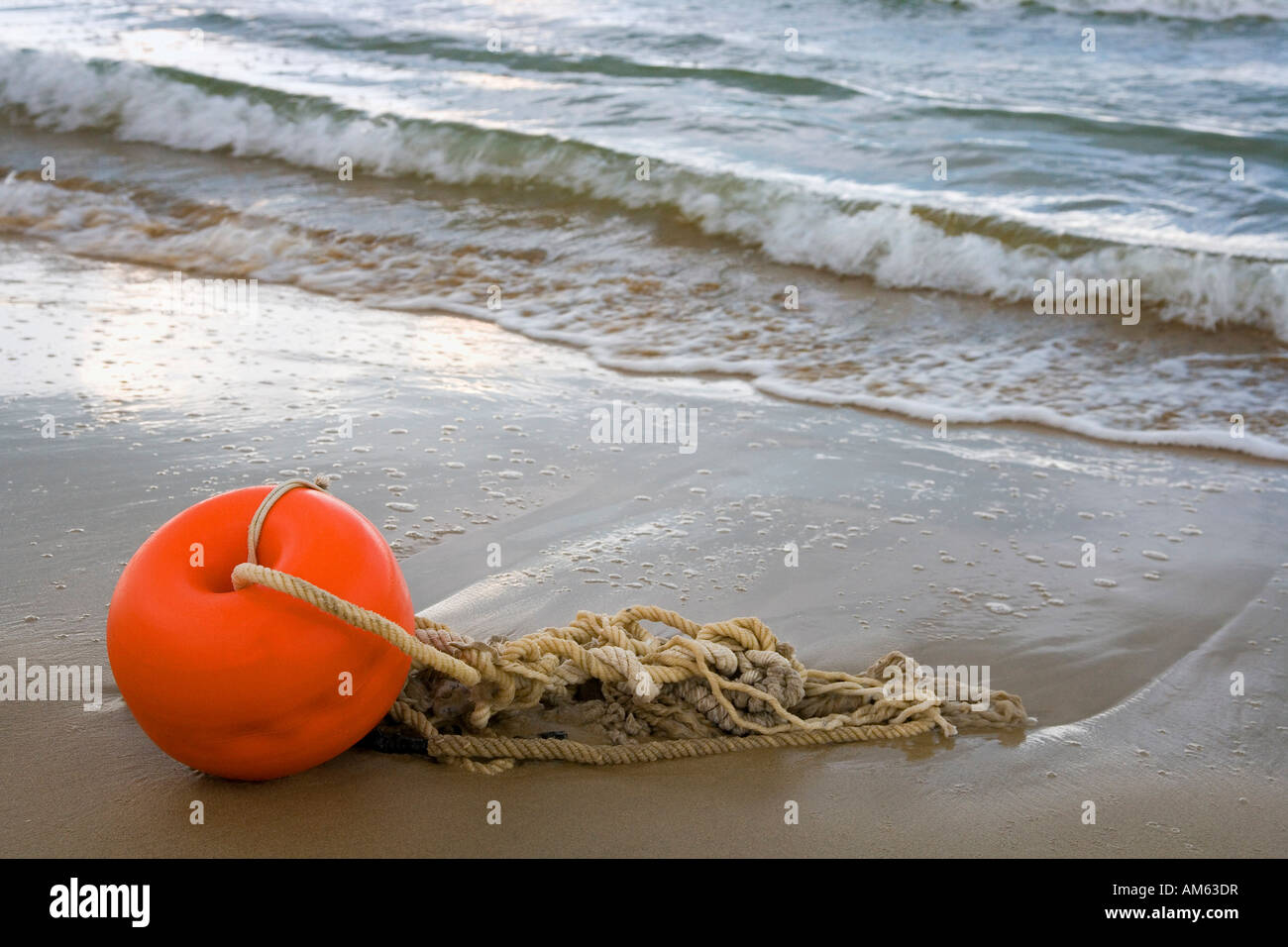 Buoy washed ashore on the beach Stock Photo - Alamy
