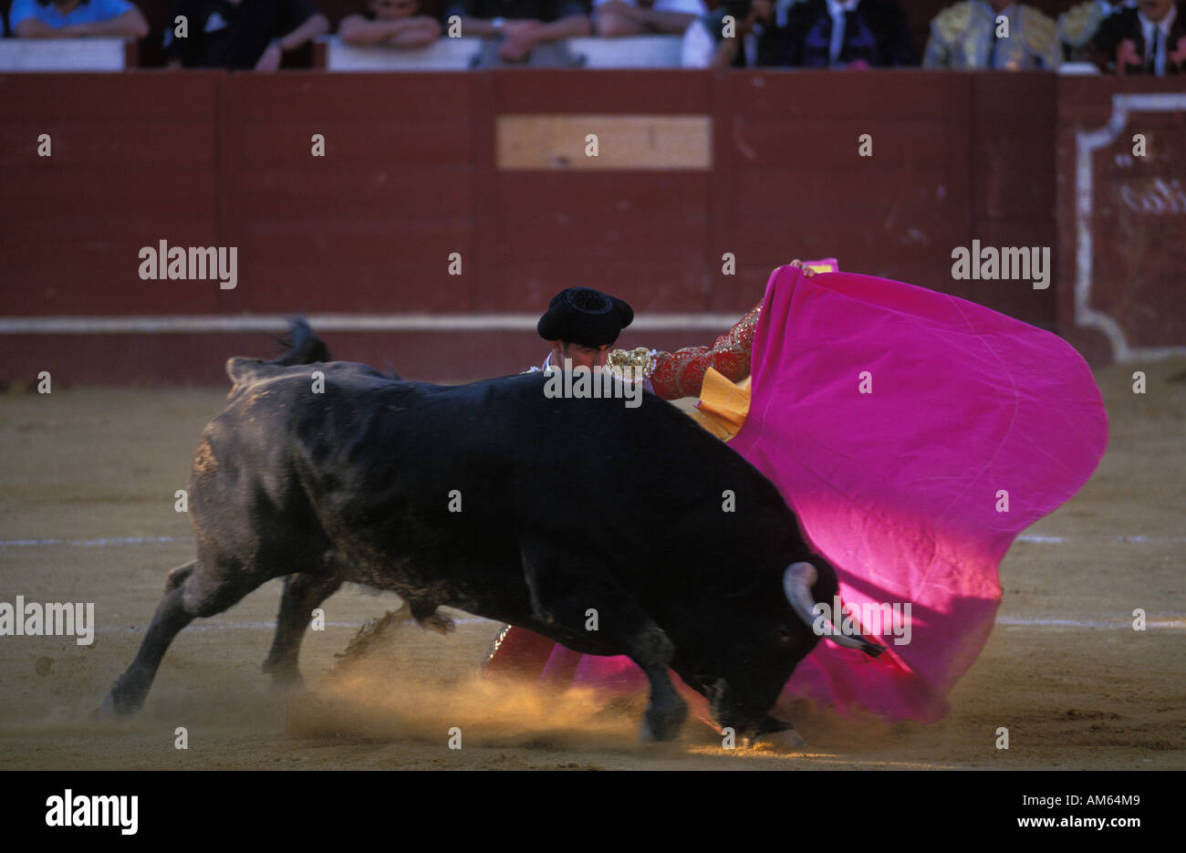 First bullfight hi-res stock photography and images - Alamy