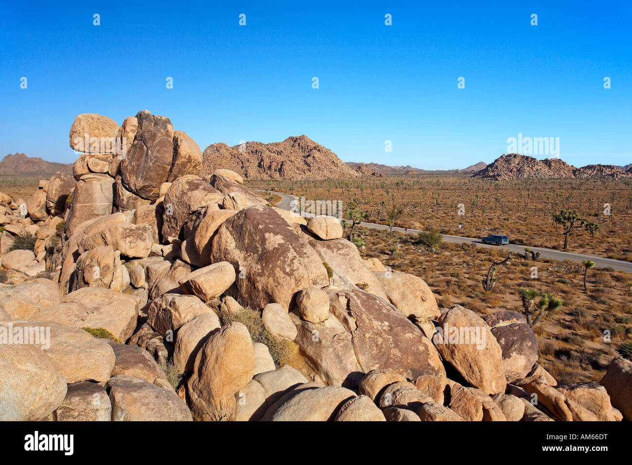 United States, California, Joshua Tree National Park, road in desert ...
