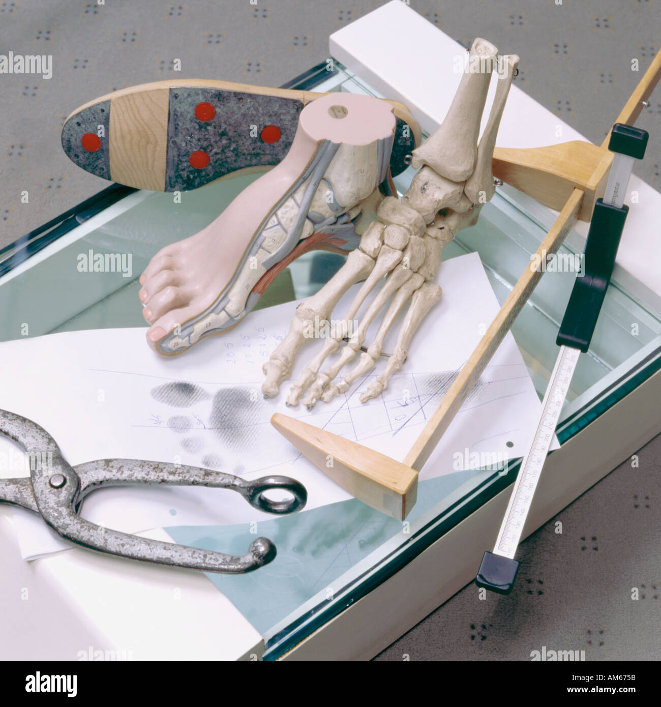 Form fitting hi-res stock photography and images - Alamy