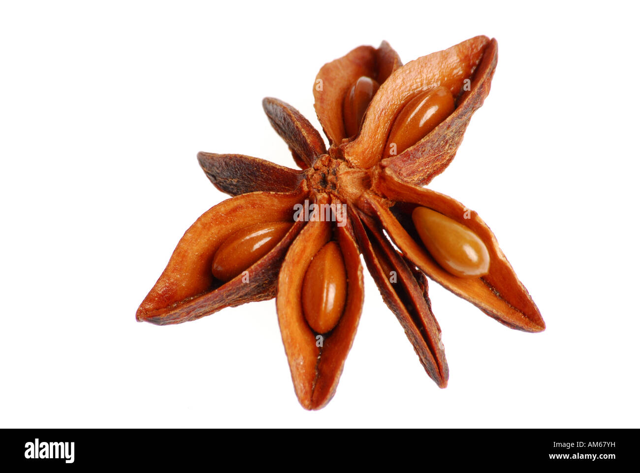 Aniseed flavour hi-res stock photography and images - Alamy