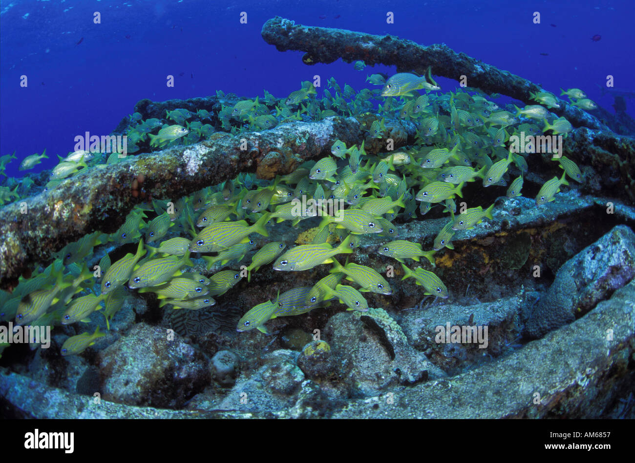 Bermuda triangle shipwreck hi-res stock photography and images - Alamy