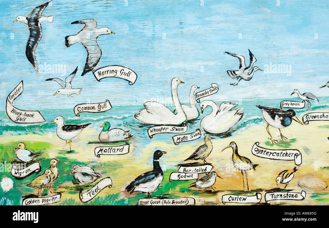 Wattvogeln hi-res stock photography and images - Alamy