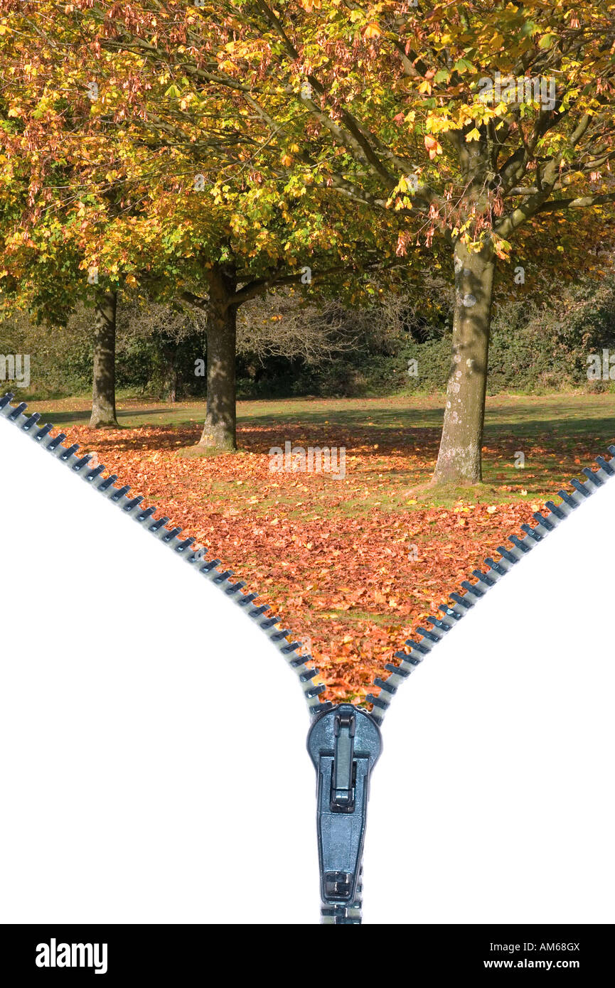 Fall season colour hi-res stock photography and images - Alamy