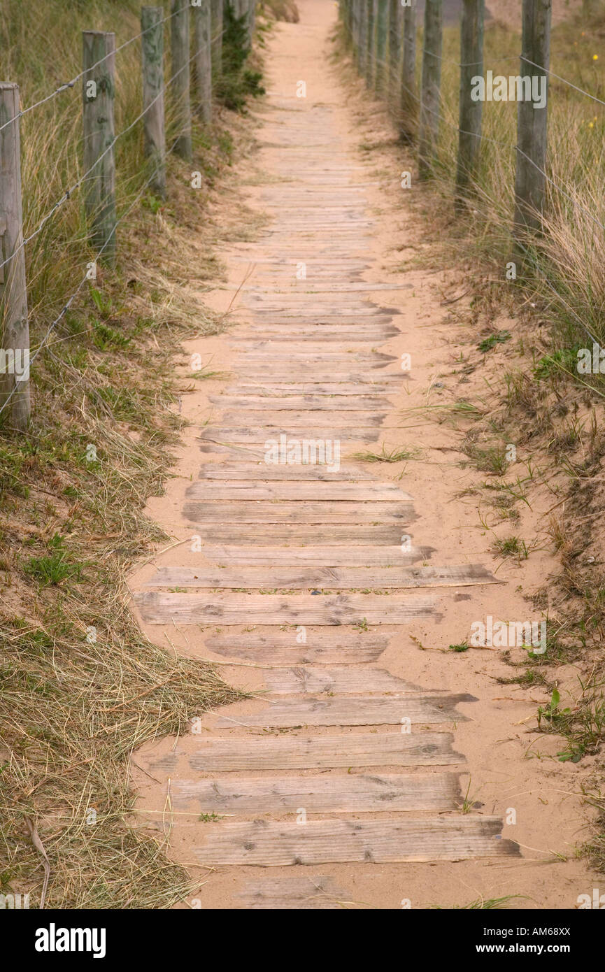 Wooden walkway boards hi-res stock photography and images - Alamy