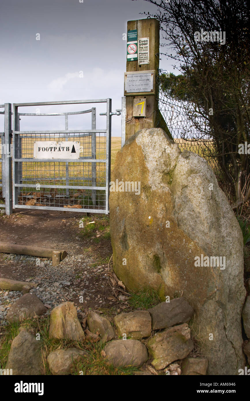 Erratic boulder from Arenig mountain Wales on Clent Hills near Hagley ...