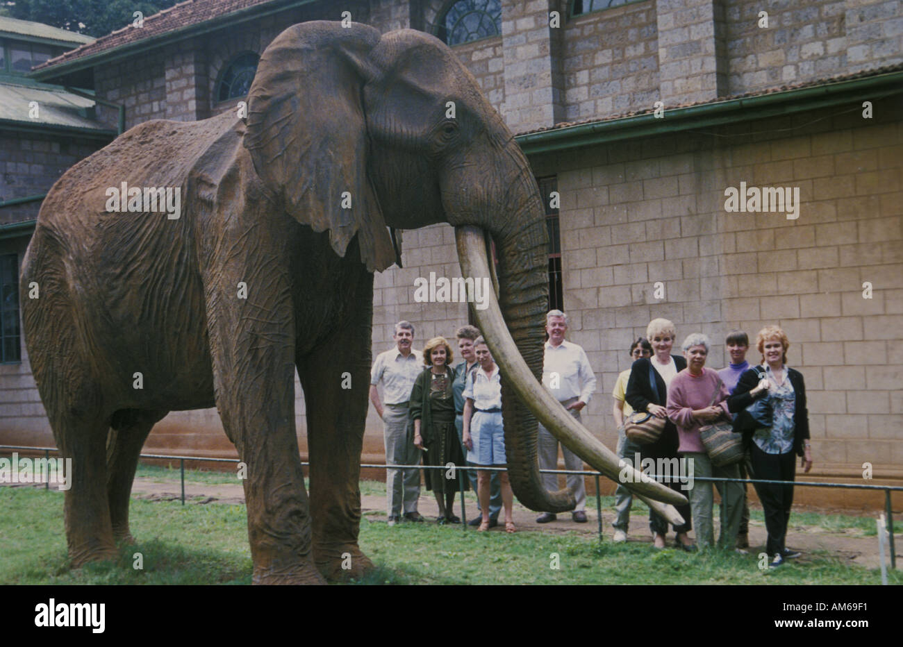 Life size statue or model of Ahmed the famous elephant who died in ...