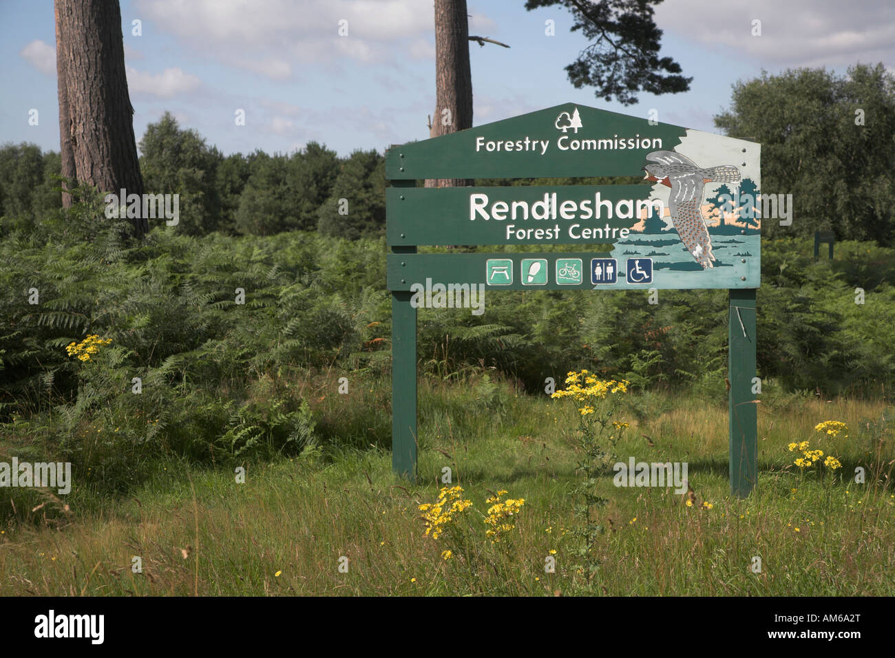 Rendlesham forest centre hi-res stock photography and images - Alamy