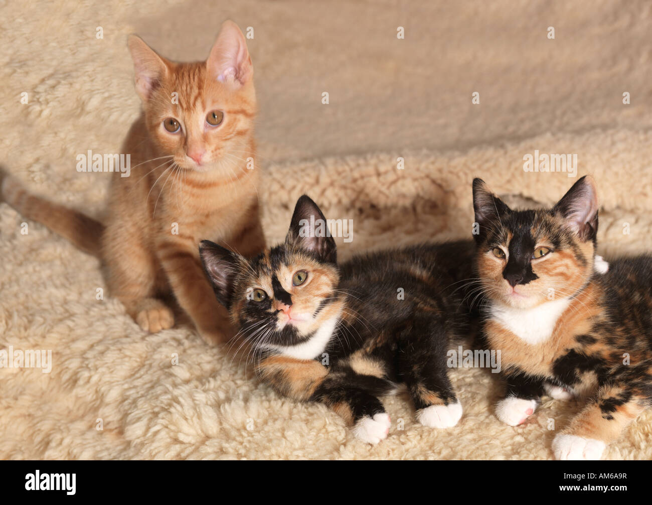 Ten two three hi-res stock photography and images - Alamy