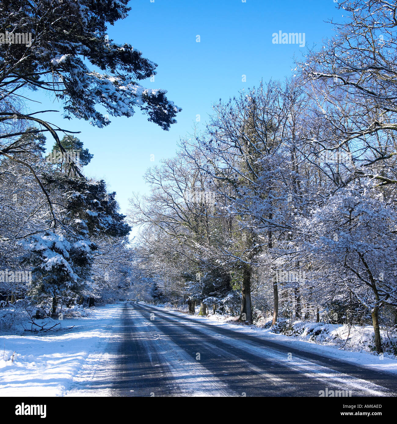 Road our country hi-res stock photography and images - Alamy