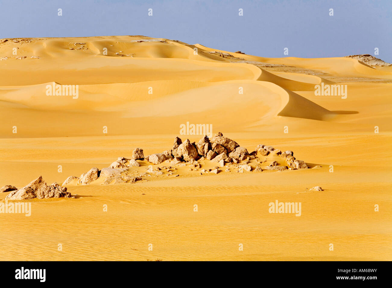 Great sand sea siwa oasis egypt hi-res stock photography and images - Alamy