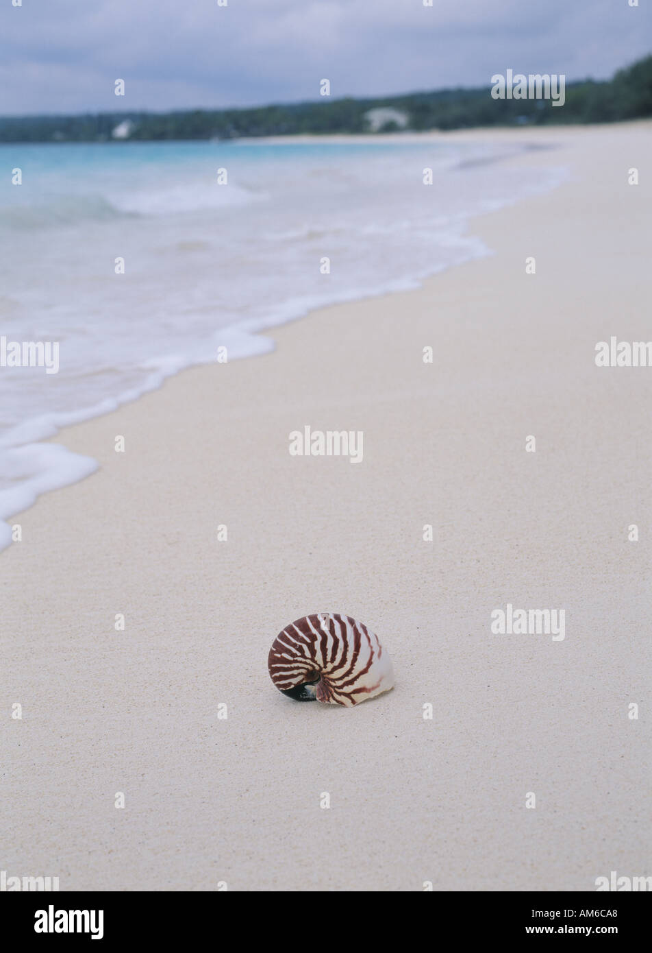 New caledonia island sea level hi-res stock photography and images - Alamy