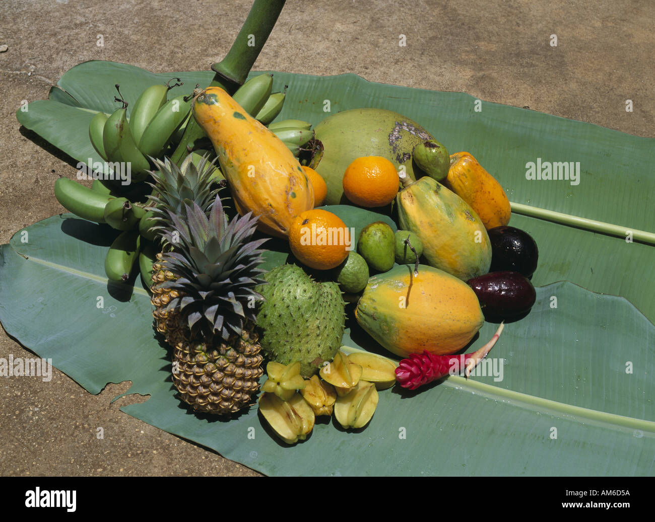 Tropical fruits Rota island Marianas Stock Photo - Alamy