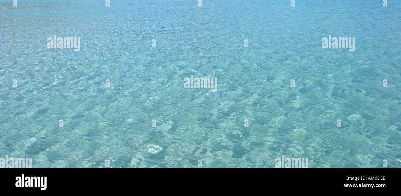 Clean clear sea water Stock Photo - Alamy