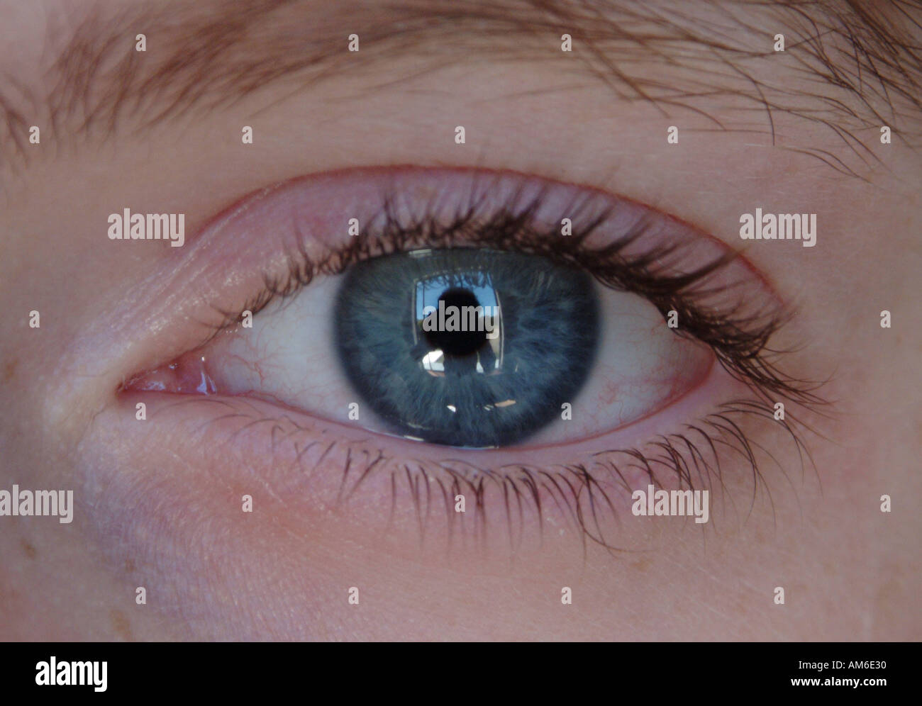 young girls left eye close up Stock Photo - Alamy