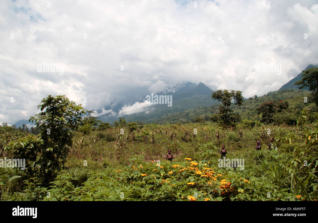 Rainy season congo hi-res stock photography and images - Alamy
