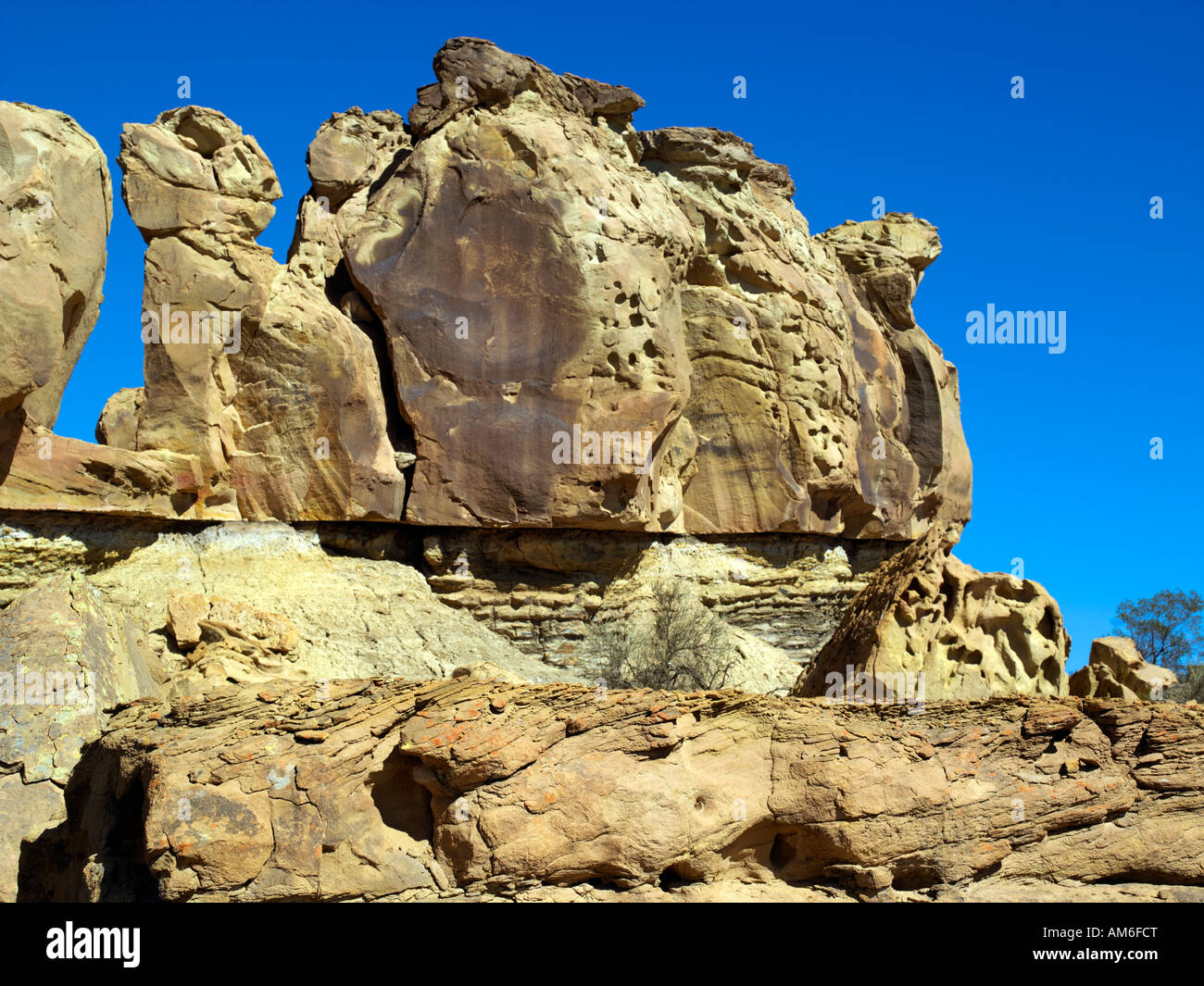 A rock formation called 'The Monkey' in Ischigualasto Provincial Park ...