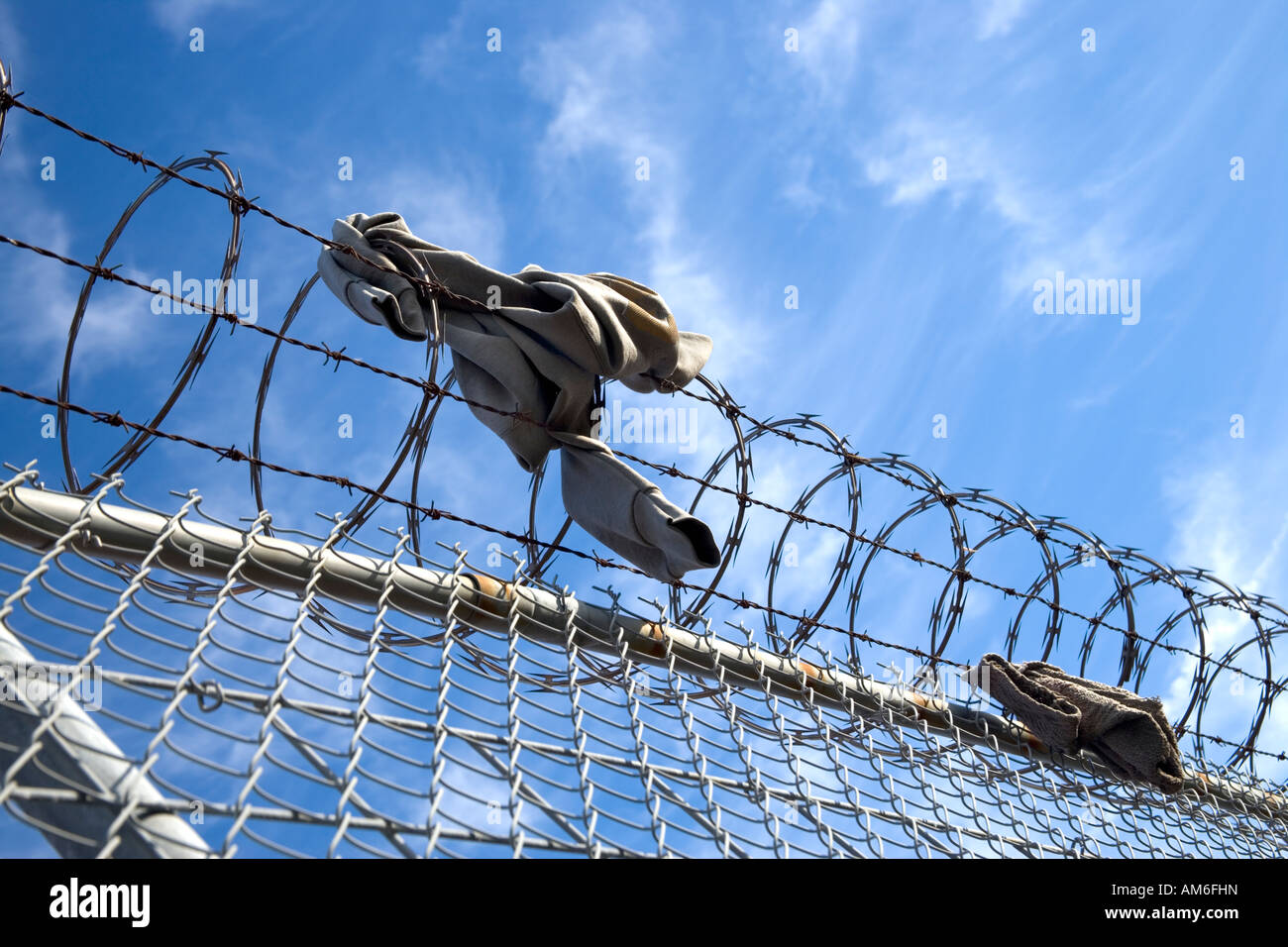 Chain linked security fence with barbed razor wire Stock Photo - Alamy