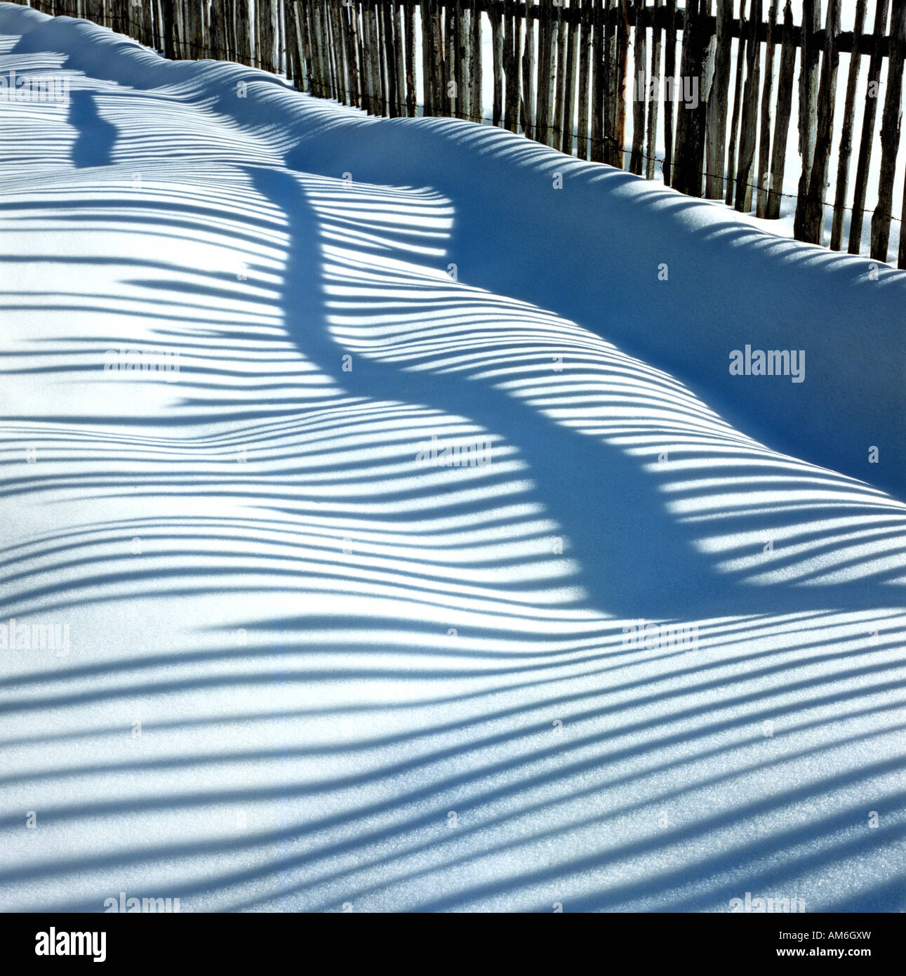 Lattice fence's shadows in snow Stock Photo - Alamy