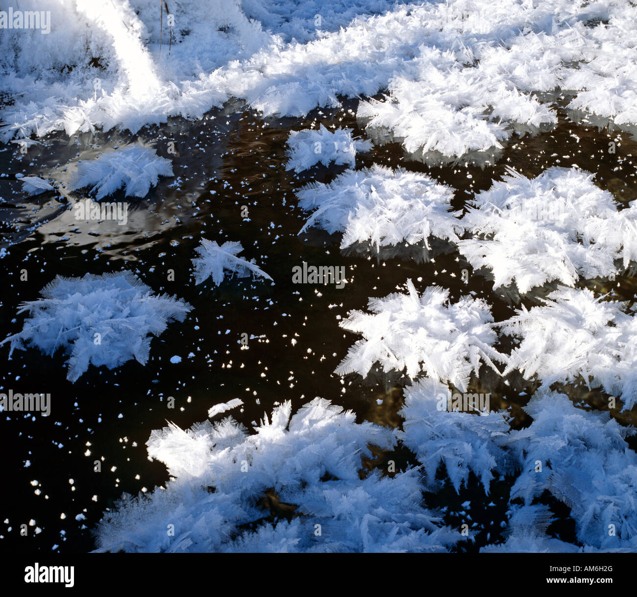Ice crystals on icy surface hi-res stock photography and images - Alamy