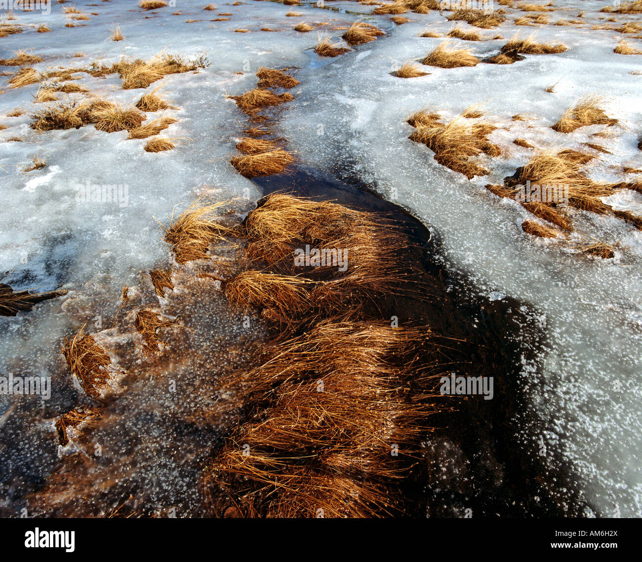 Frosted ponds hi-res stock photography and images - Alamy