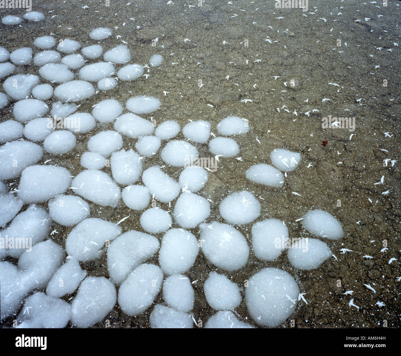 Snowy structures in frozen lake surface Stock Photo - Alamy