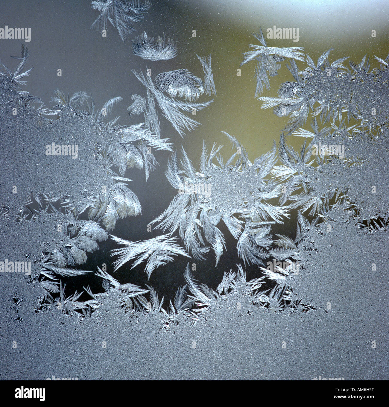 Frost pattern on a window pane Stock Photo - Alamy