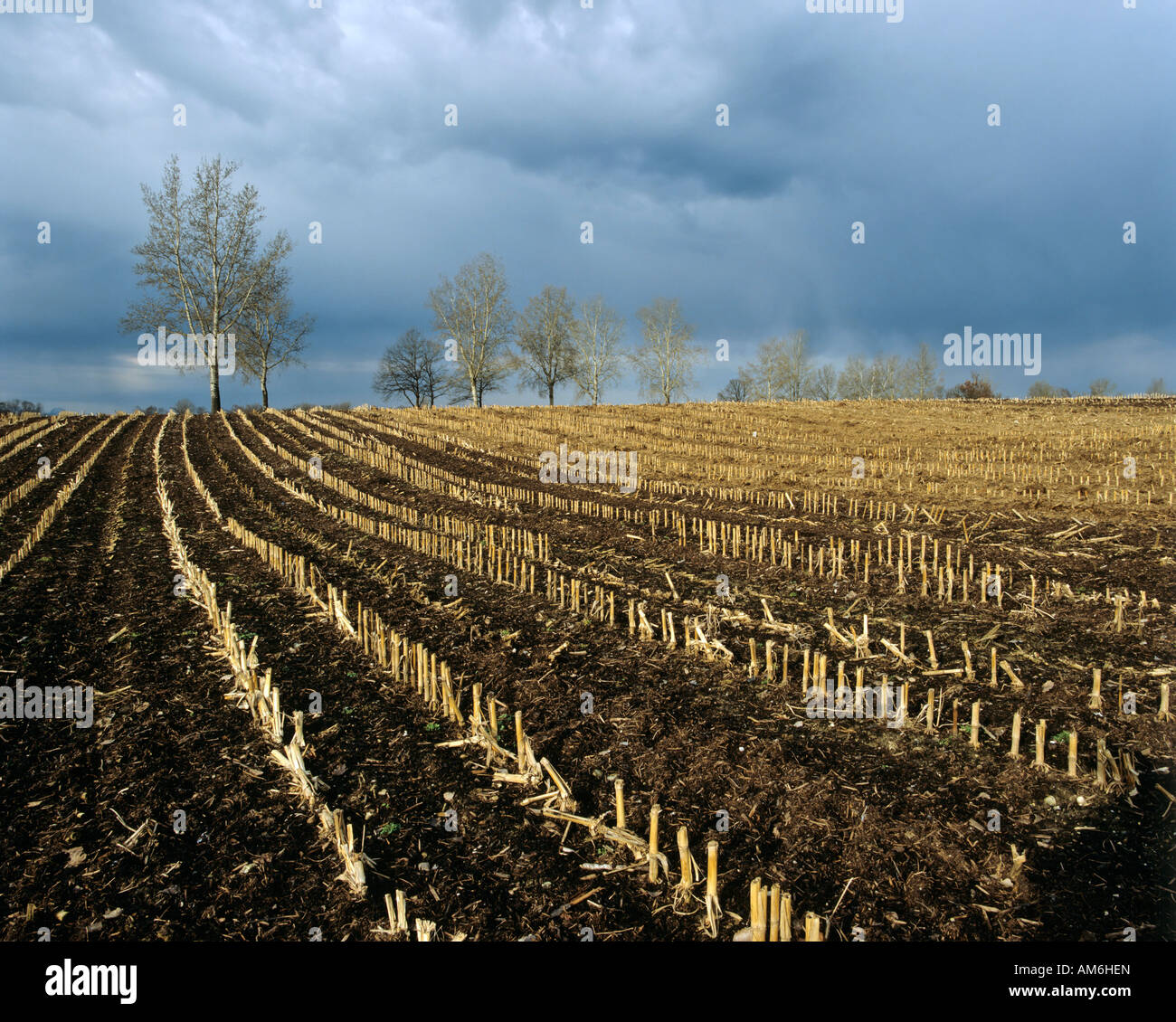 Late autumnally hi-res stock photography and images - Alamy