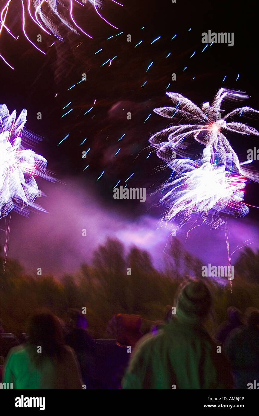 firework display with people silhouetted in foreground Stock Photo - Alamy