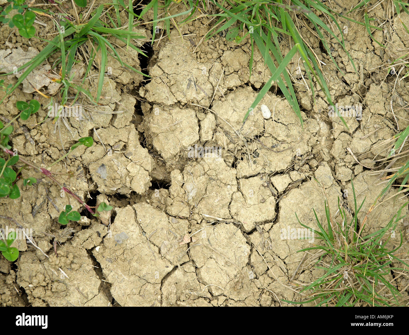 splits braks in dry soil drought of ground Stock Photo - Alamy