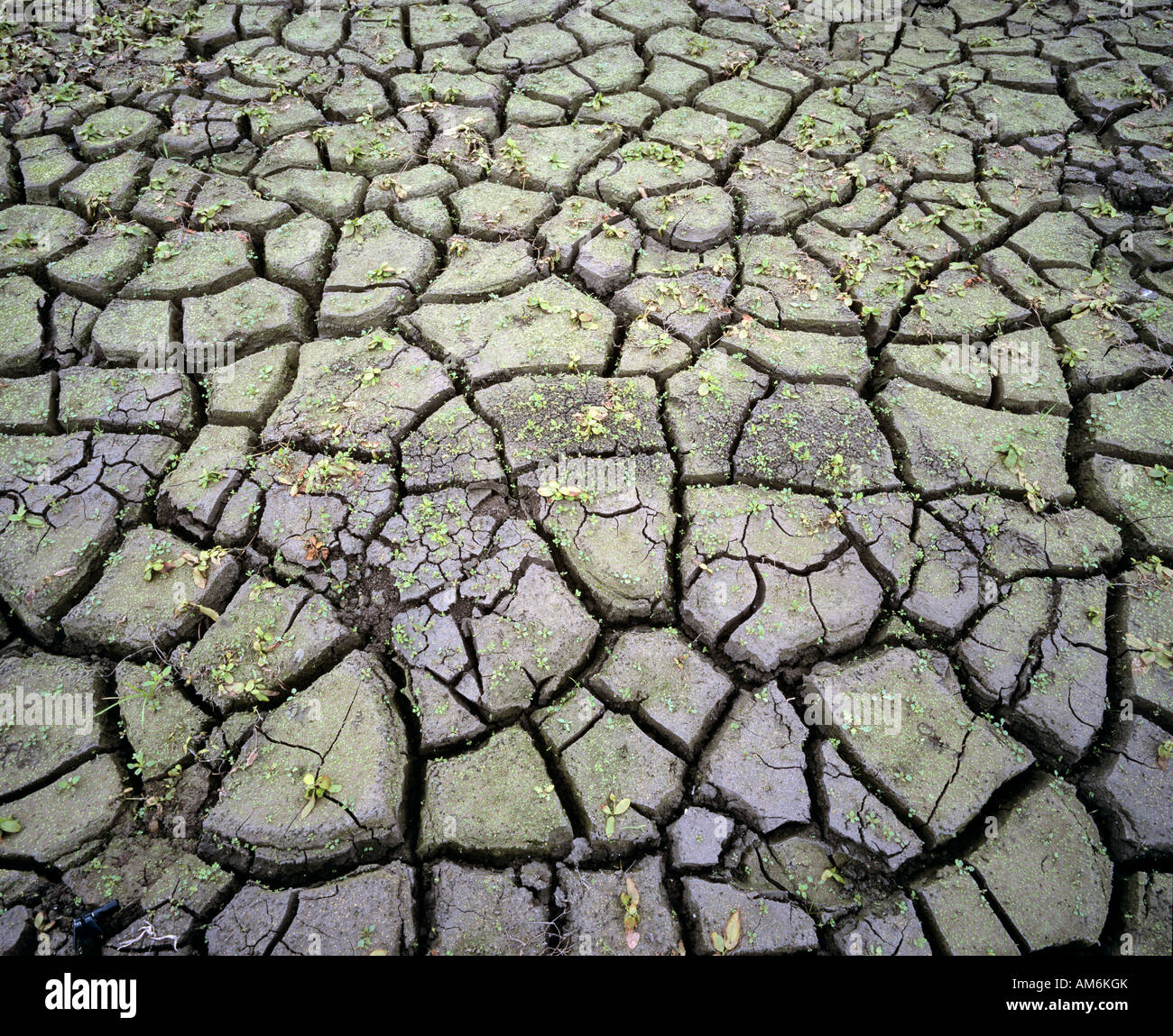 Dried up lakeside, Germany Stock Photo - Alamy