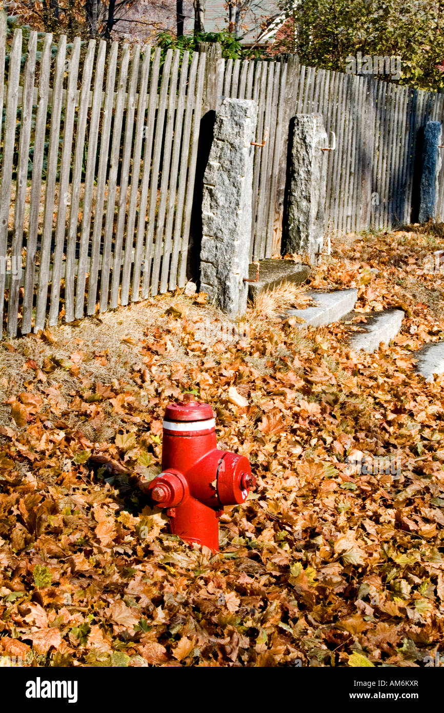 Small fire hydrant almost buried in leaves in Massachusetts Stock Photo ...