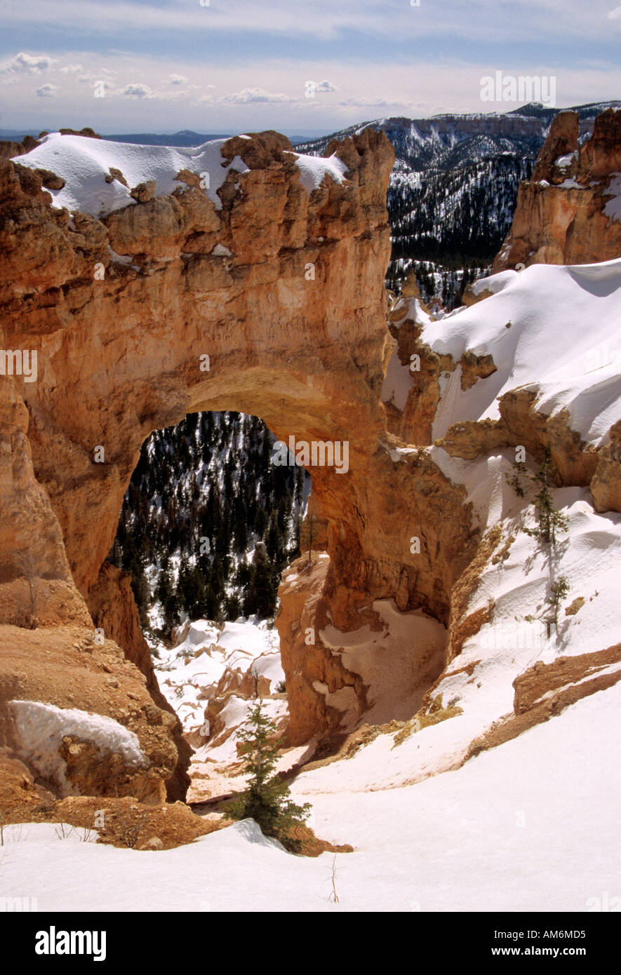 Bryce george hi-res stock photography and images - Alamy