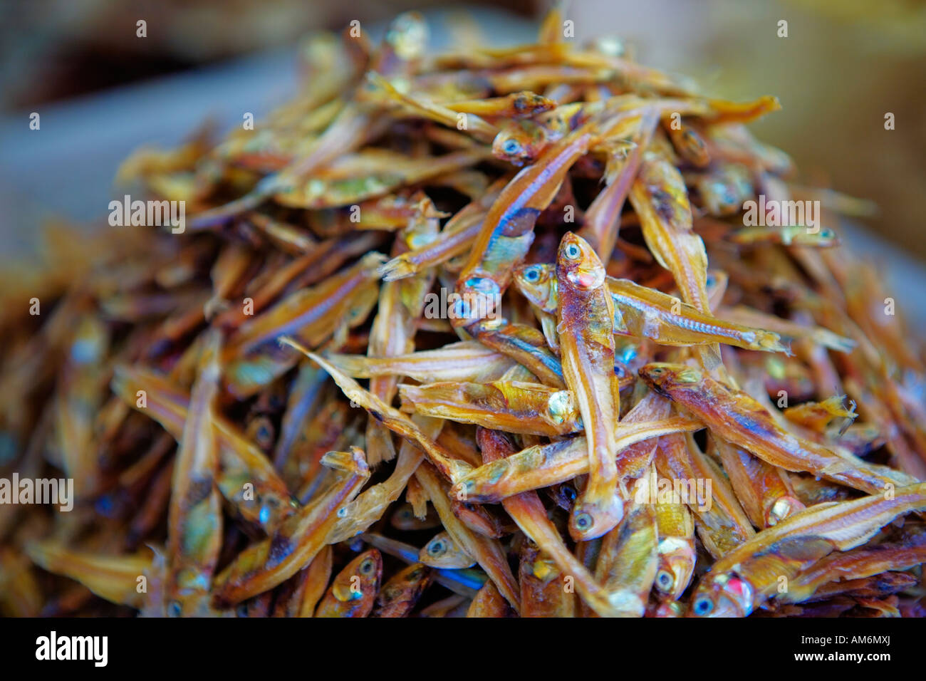 dry fish for sale in a chinatown store Stock Photo - Alamy