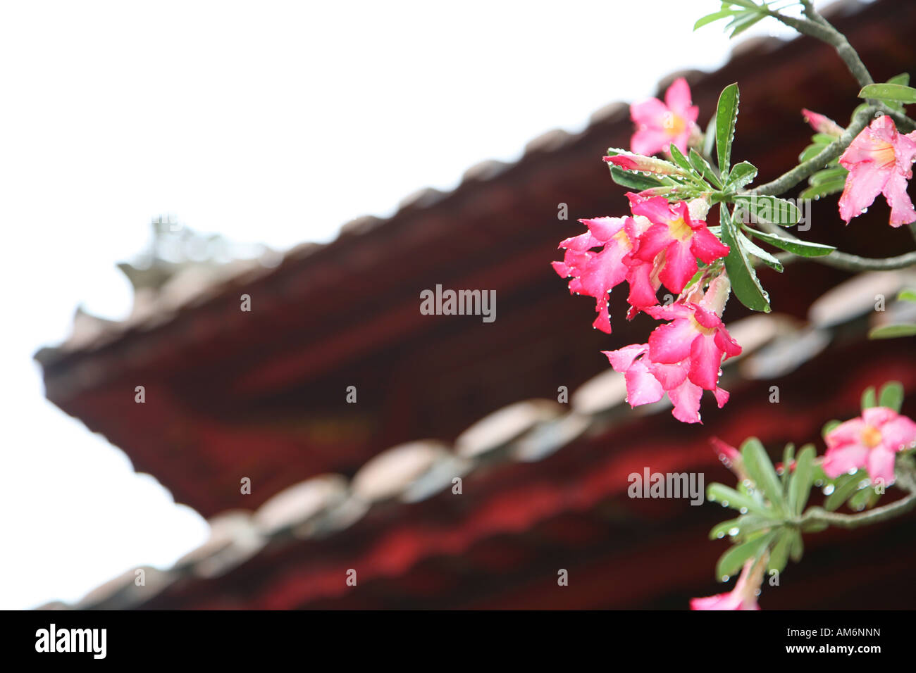Ming mang emperor of hue hi-res stock photography and images - Alamy