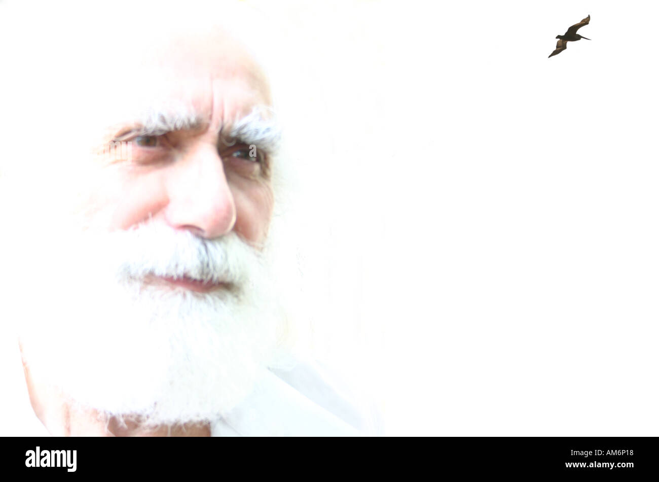 Godlike man hi-res stock photography and images - Alamy