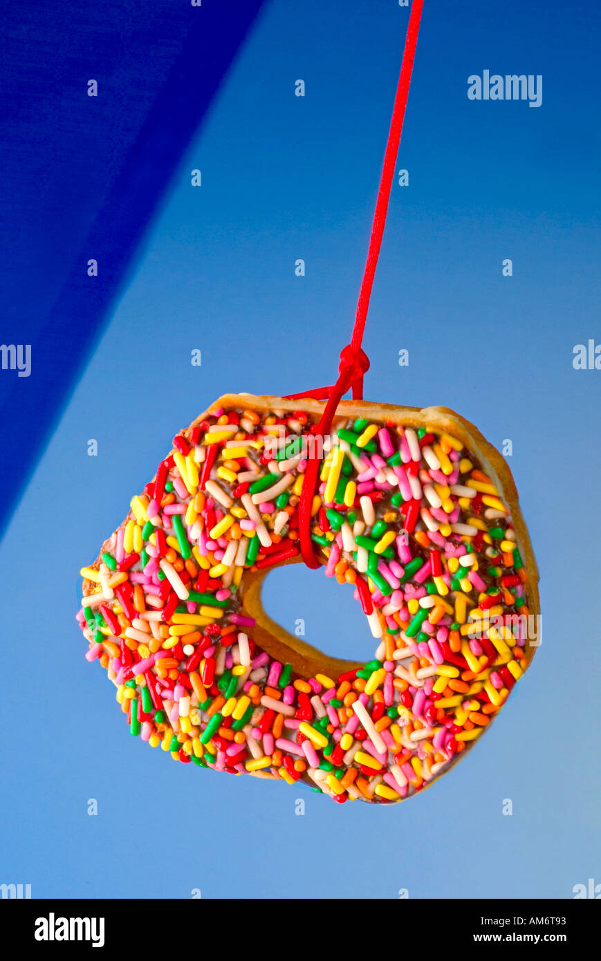 Donut with colorful sprinkles on a red string Stock Photo - Alamy