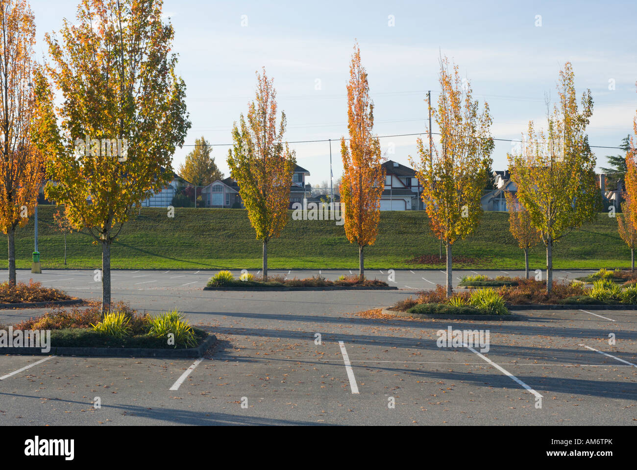 Trees With Large Parking Lots Parking Lot With Trees Images Free