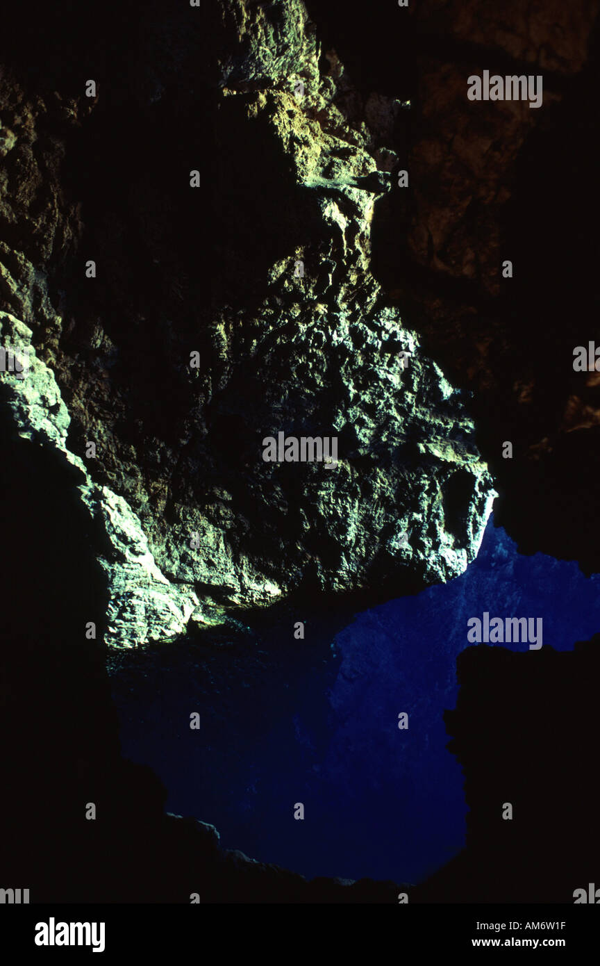 Spediology hi-res stock photography and images - Alamy