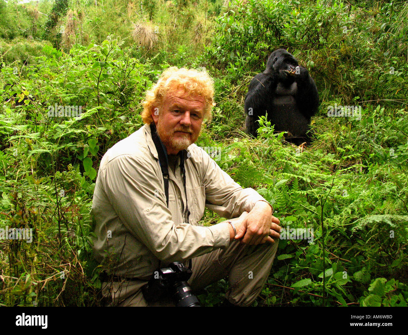 Rwanda gorilla tracking hi-res stock photography and images - Alamy